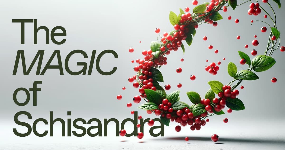 Schisandra Berry Benefits – Raw Juicery