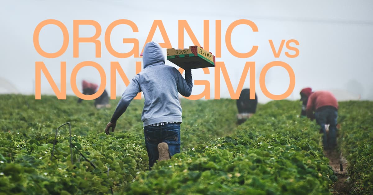 Organic vs. Non-GMO: What’s the difference? – Raw Juicery