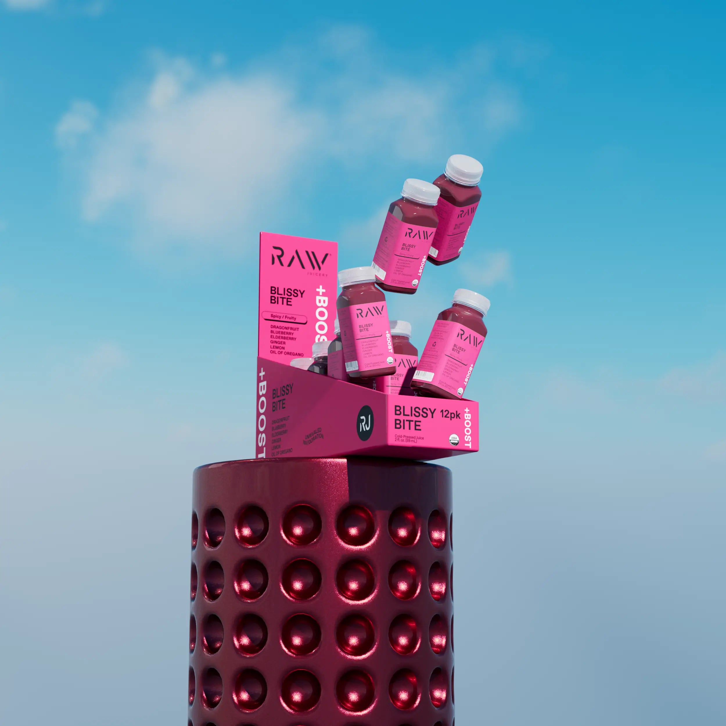 BLISSY BITE | 12-PACK Juice Shot – Raw Juicery