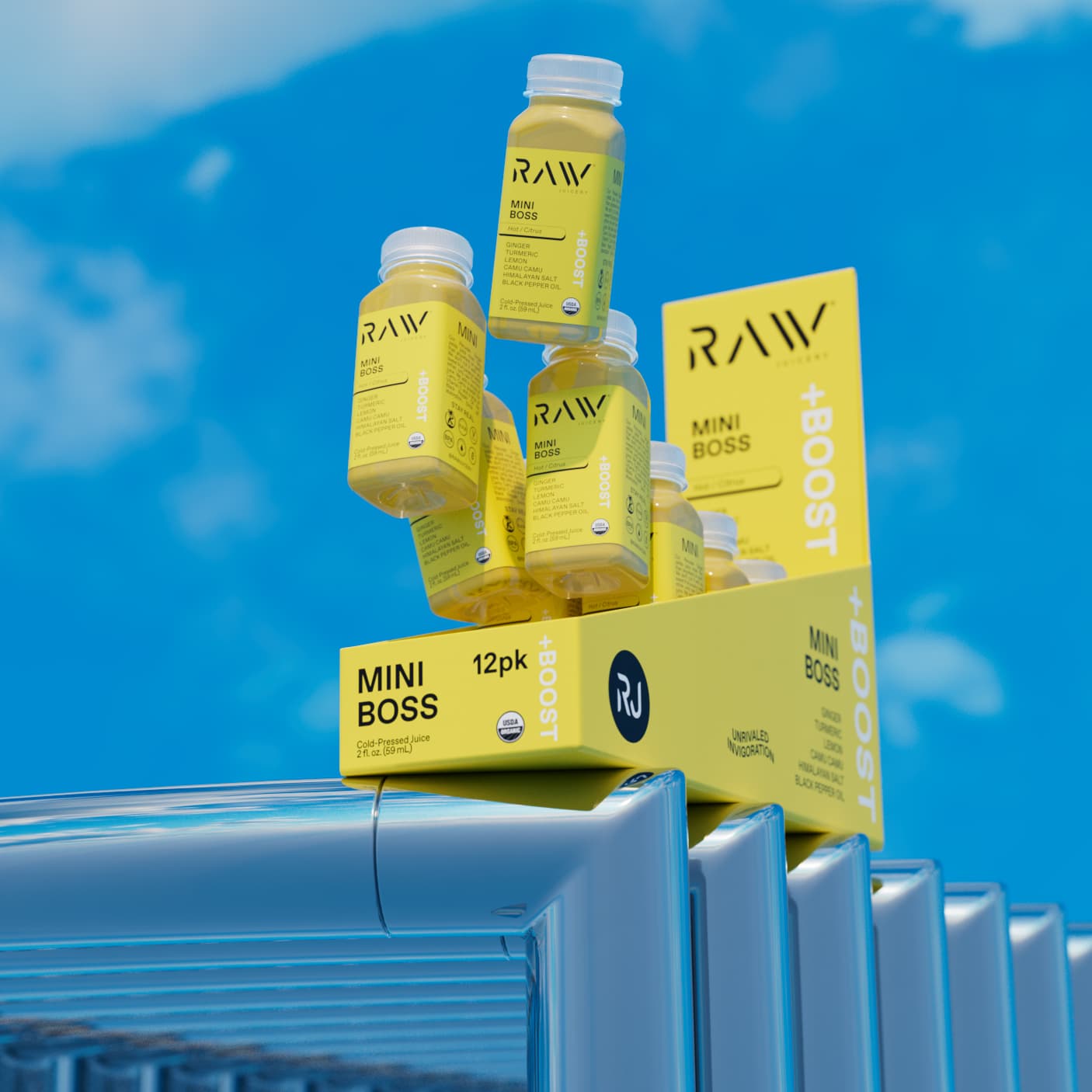 Mini Boss 3-Pack | Ginger, Lemon, and Turmeric Immunity Juice Shot ...